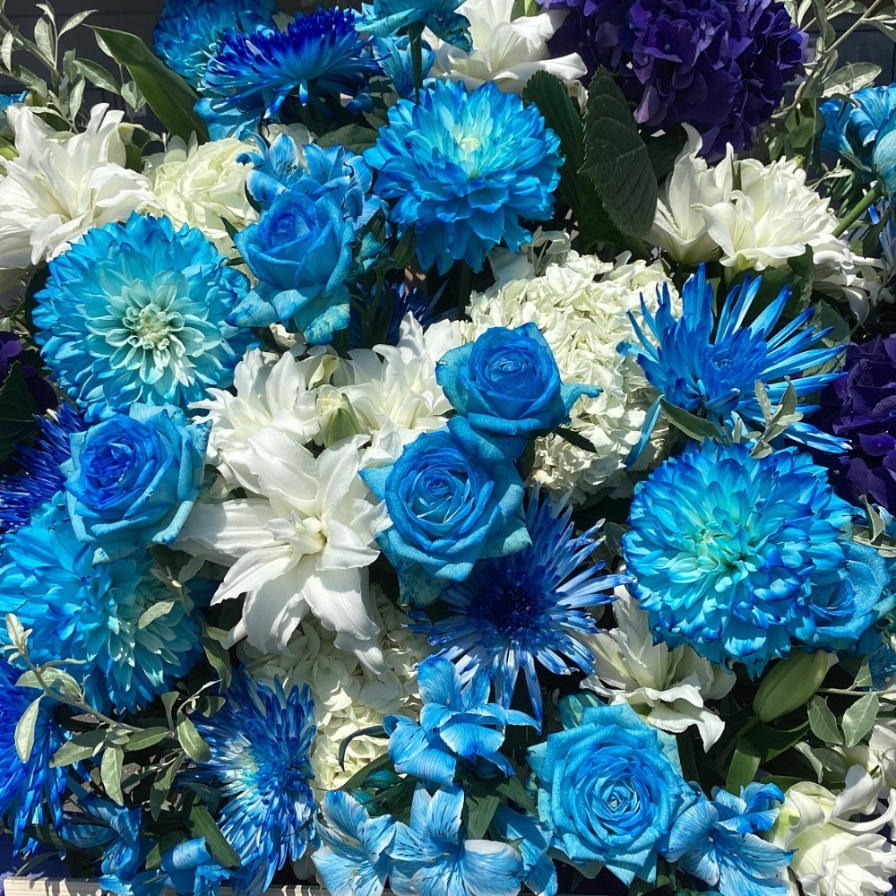 フラスタ 豊洲PIT 公演 [僕が見たかった青空 アオゾラサマーフェスティバル2025] 宮腰友里亜さん 山口結杏さん ご出演スタンド花公演・出演祝い|Sakaseru