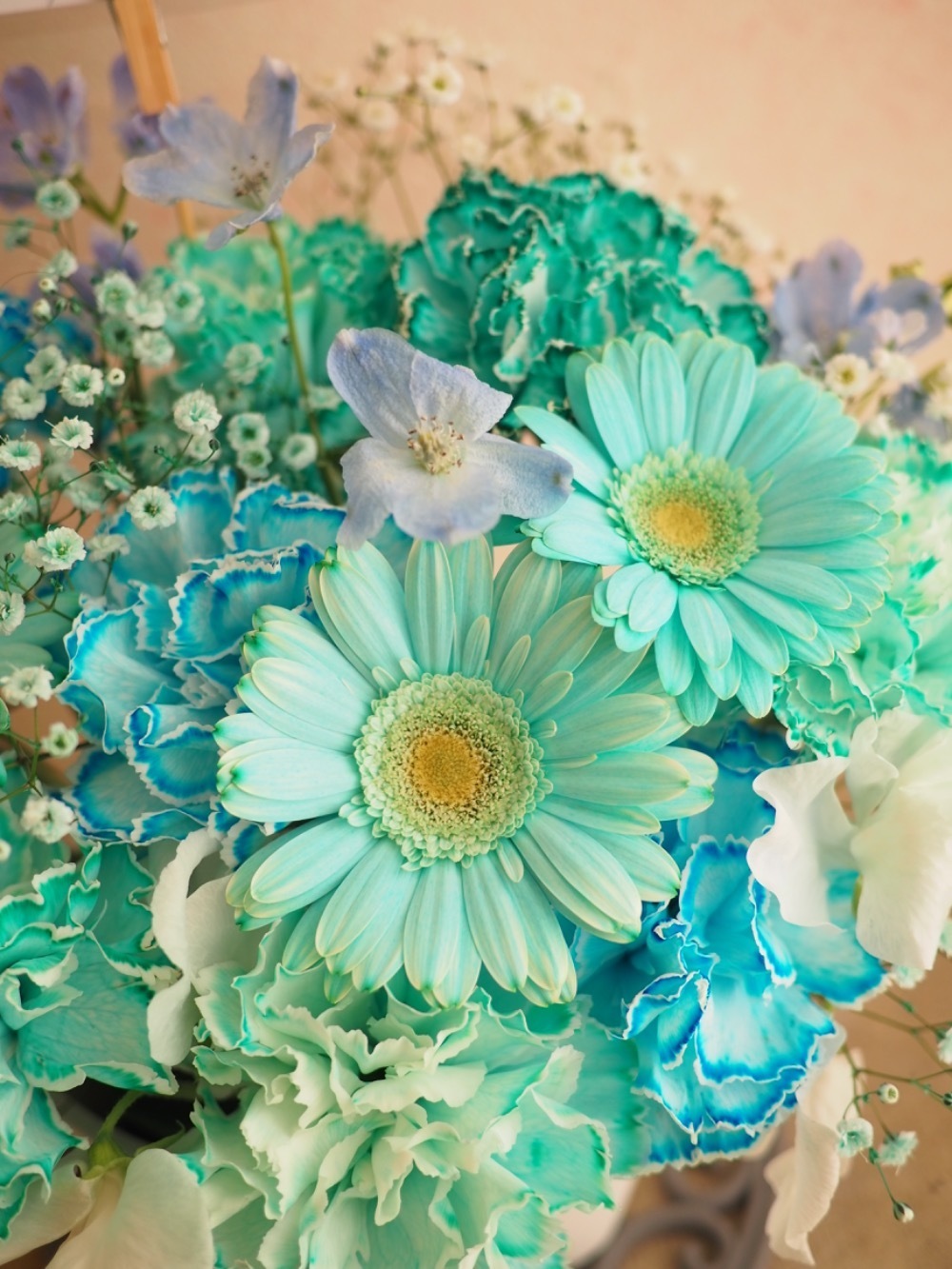 楽屋花 豊洲PIT 公演 [ハジマリノソラ] SparQlew ご出演祝い花・楽屋花公演・出演祝い|Sakaseru